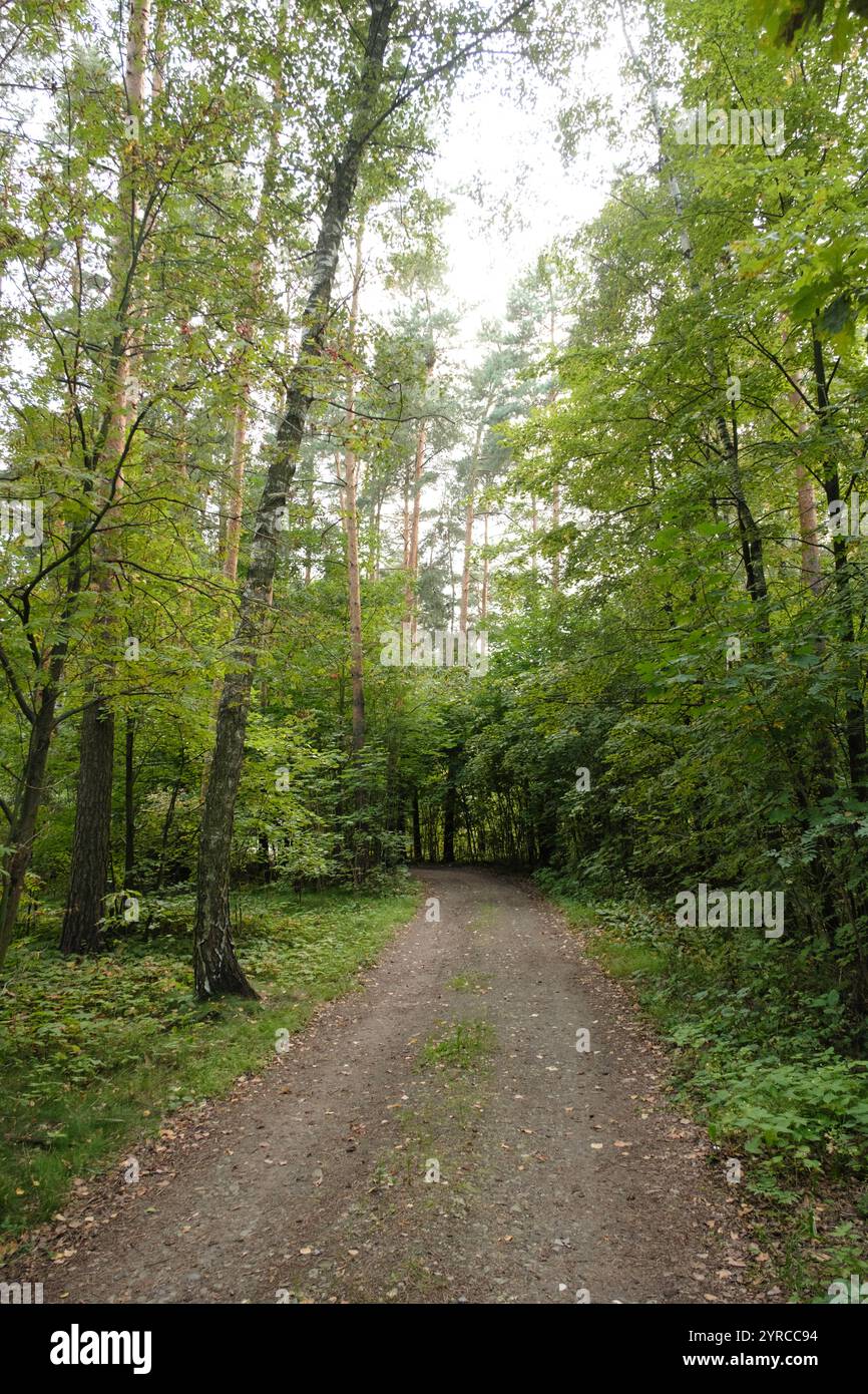 Dirt pathway through lush greenery hi-res stock photography and images ...