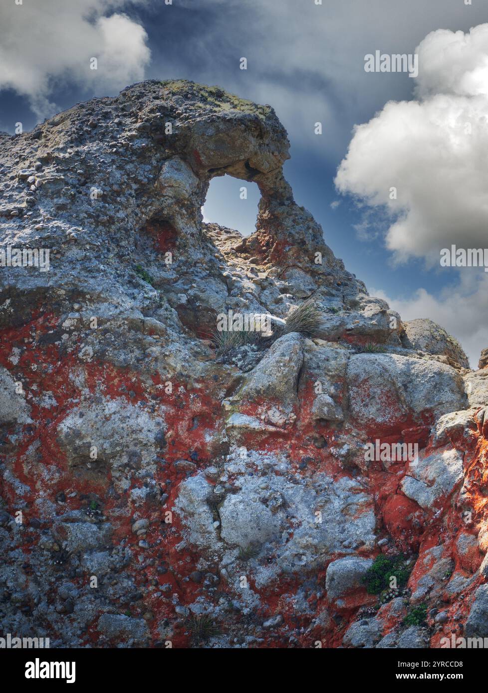 Red algae (Trentepohlia) and arch. Point Reyes National Seashore ...