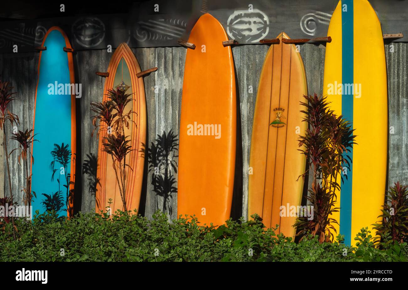Sufboard display hi-res stock photography and images - Alamy