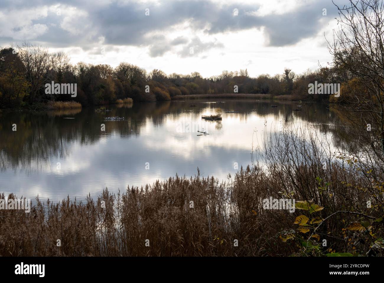 Barnes pond hi-res stock photography and images - Alamy