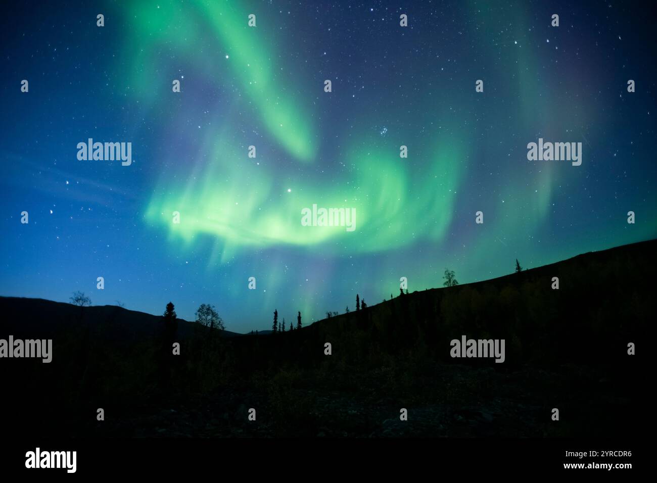 North America; United States; Alaska; Brooks Range; Coldfoot Area ...