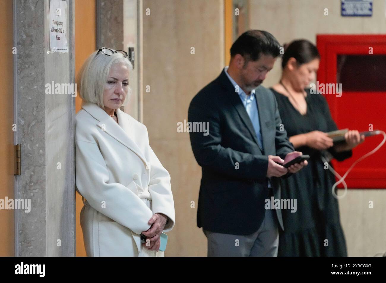 Mahnaz Tayarani, left, mother of Nima Momeni – who is charged with ...
