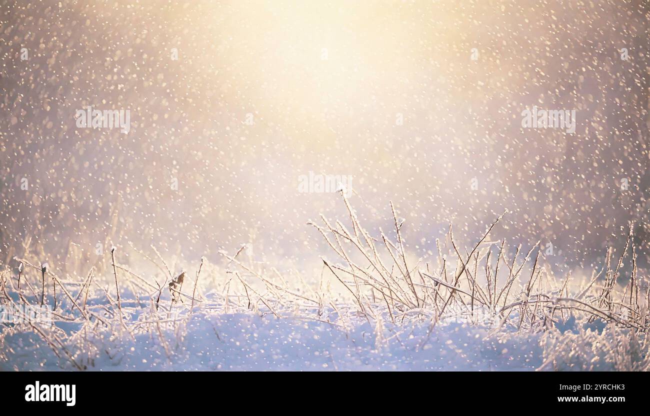 Close up field winter hi-res stock photography and images - Alamy