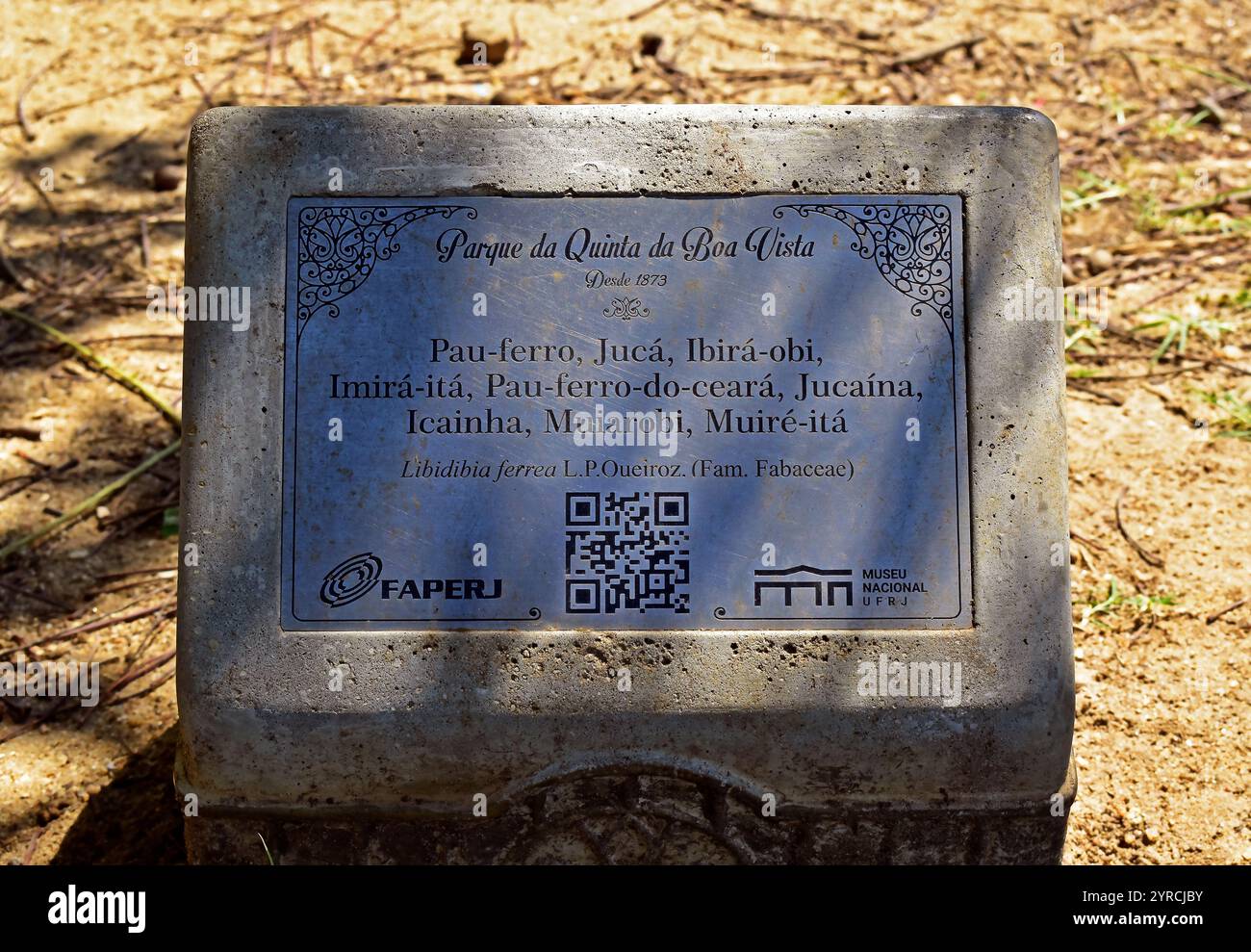 RIO DE JANEIRO, BRAZIL - November 26, 2024: Tree identification plate ...