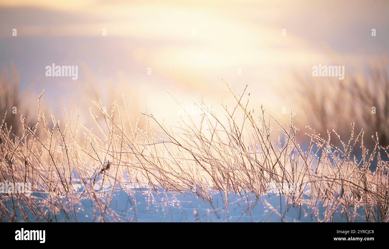 Icy snowy winter landscape background with falling snow - Festive ...