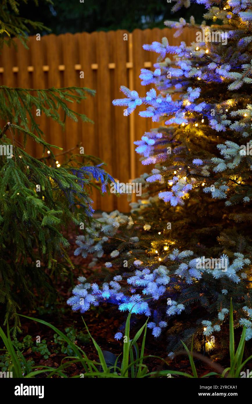 An Illuminated Garden Scene Featuring Blue Lights Alongside Natural ...