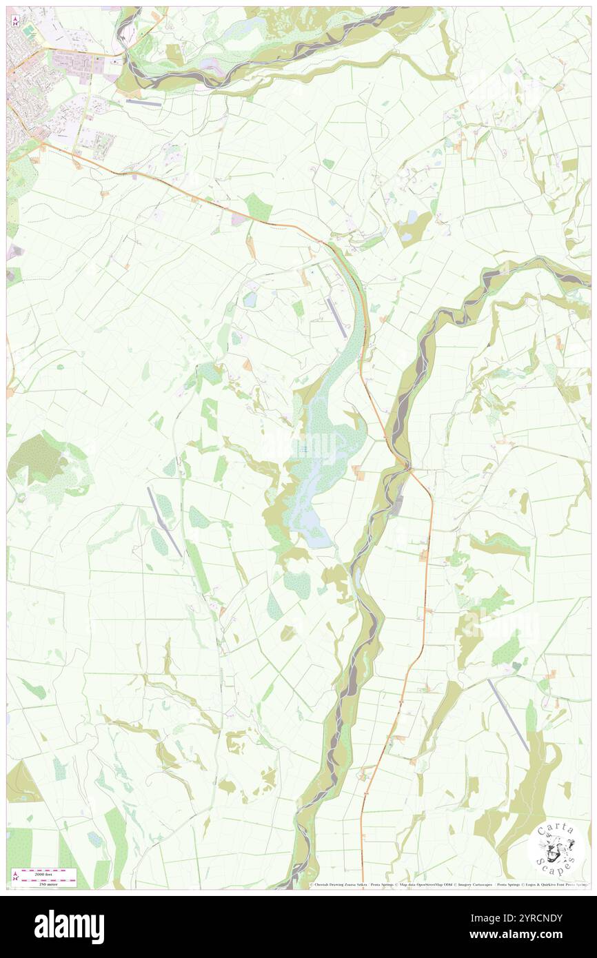 Kakapo swamp hi-res stock photography and images - Alamy