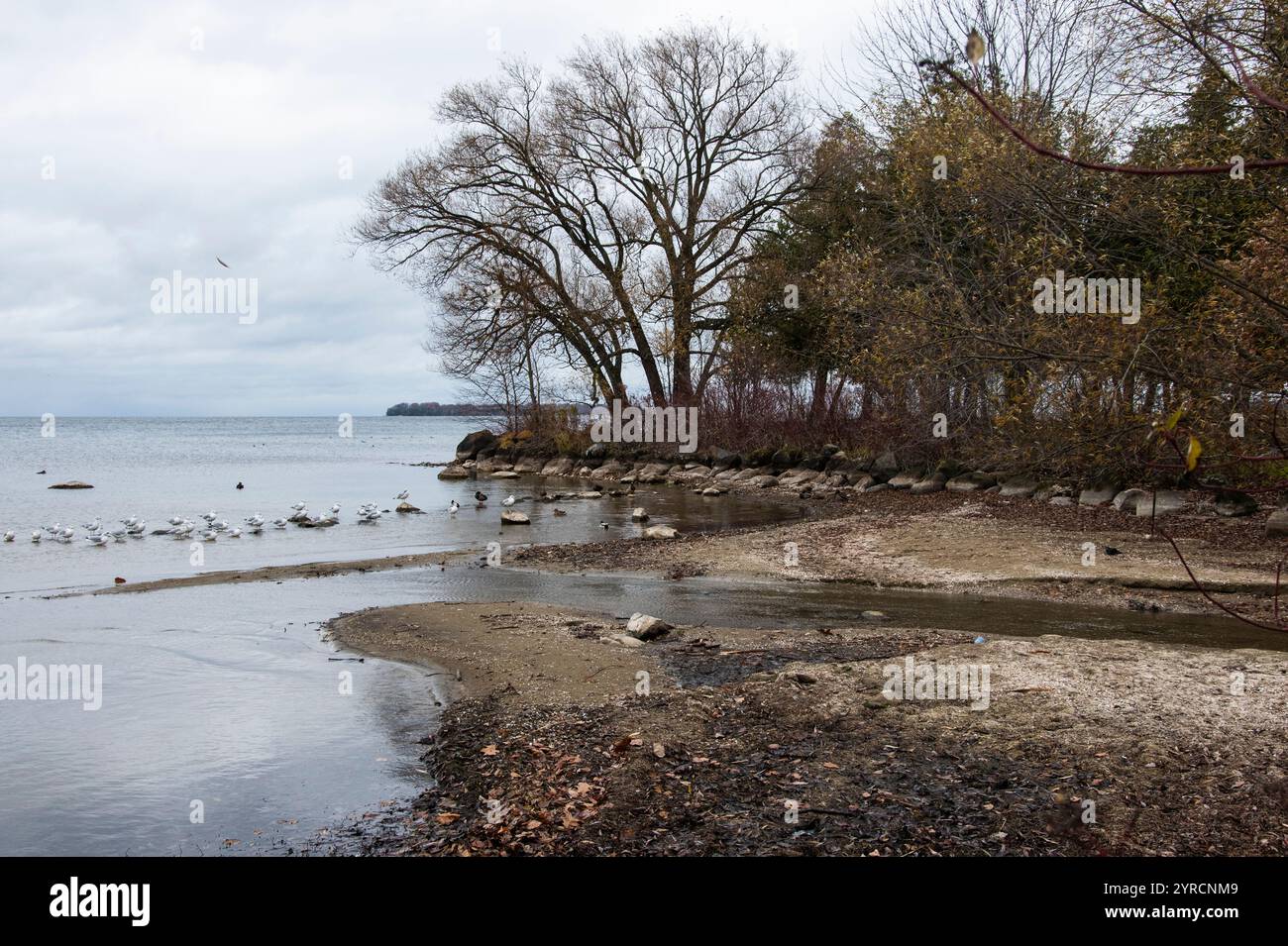 The beach at Innisfil Beach Park in Innisfil, Ontario, Canada Stock ...