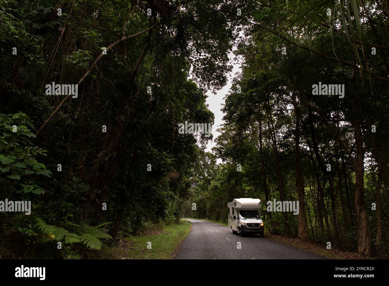 A motorhome driving through lush greenery in Daintree National Park ...