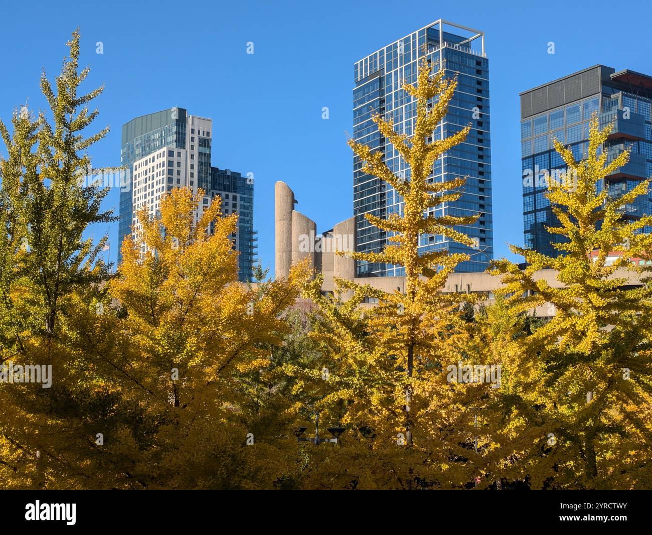 Architecture of paul rudolph hi-res stock photography and images - Alamy