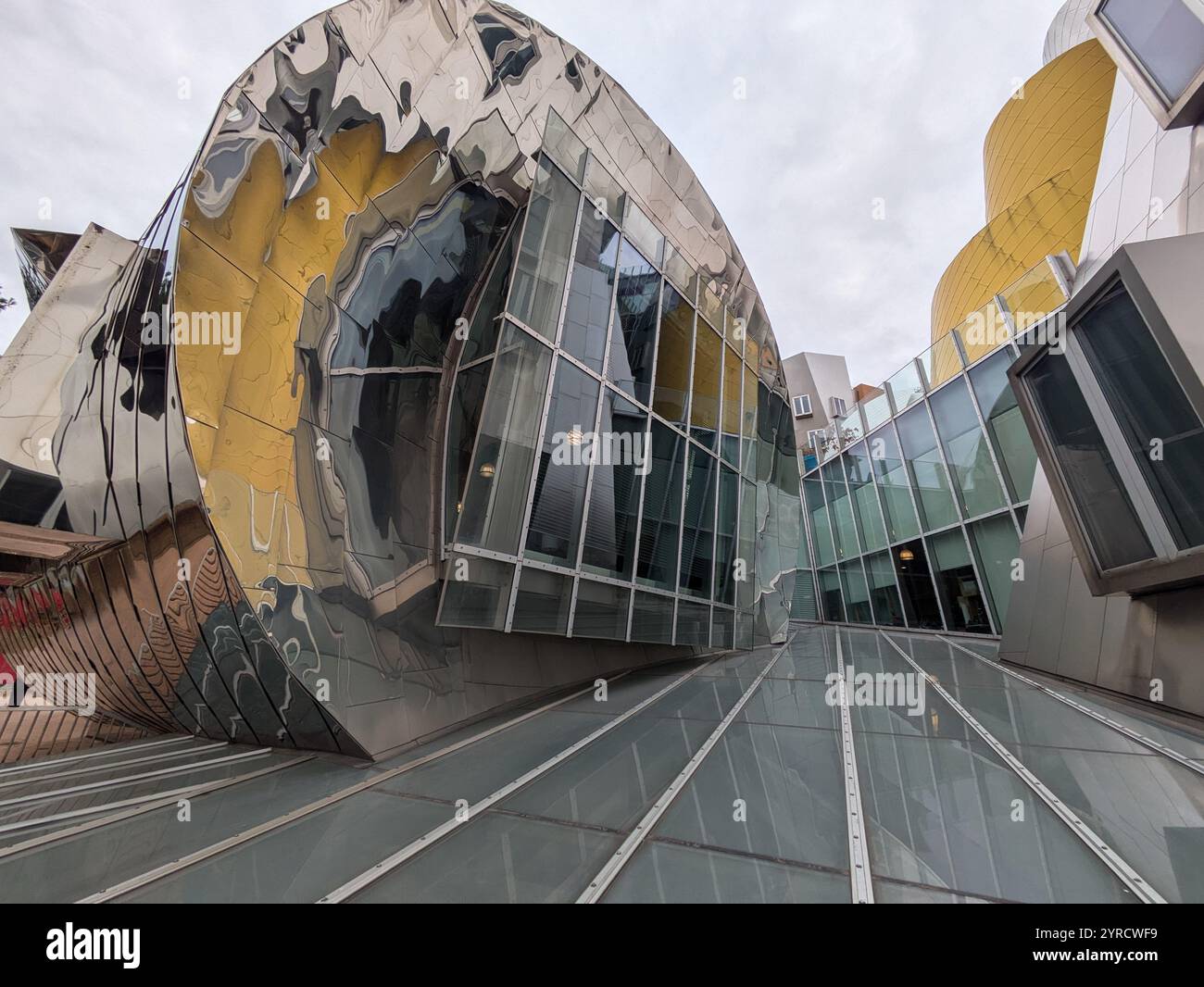 MIT Boston building design by Frank Gehry Stock Photo - Alamy