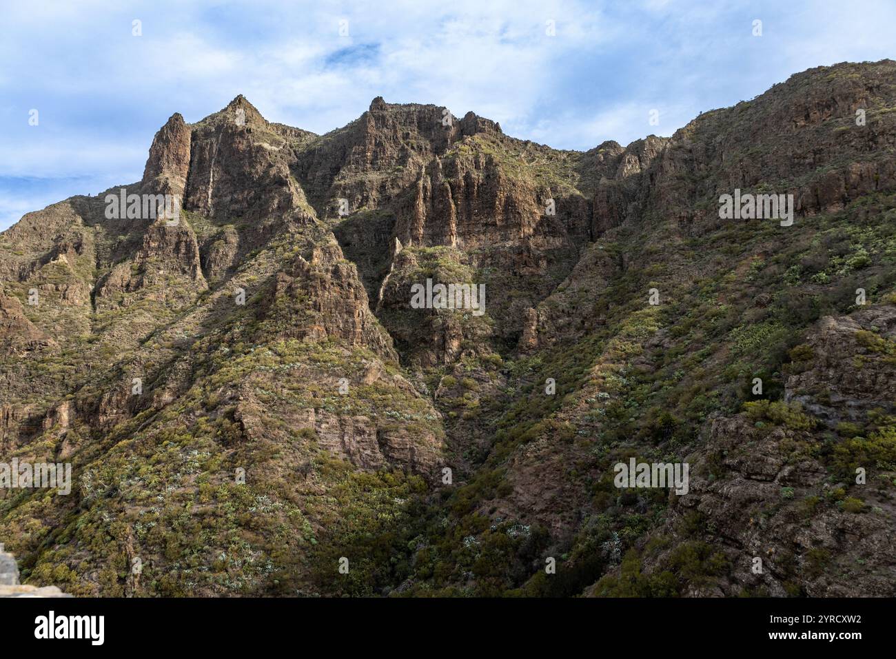 The Masca Gorge is one of the most popular places in Tenerife. Walking ...