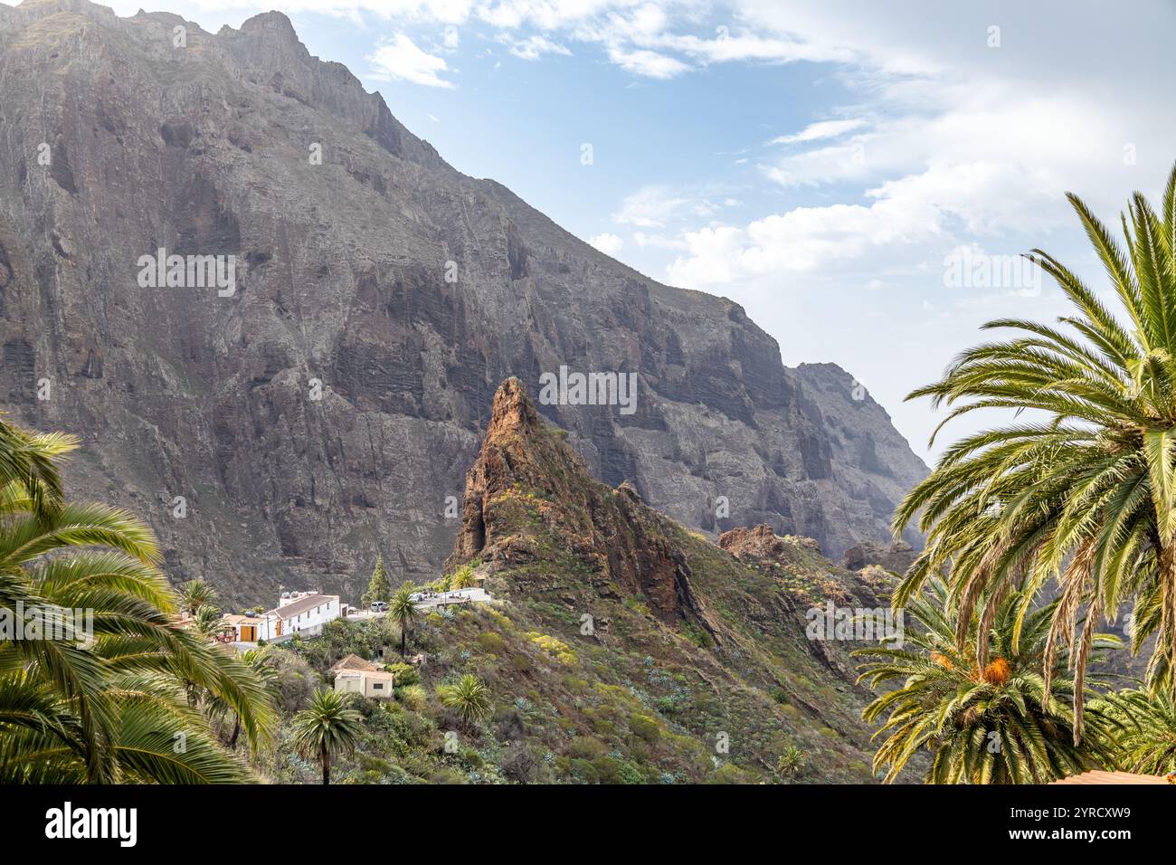 The Masca Gorge is one of the most popular places in Tenerife. Walking ...