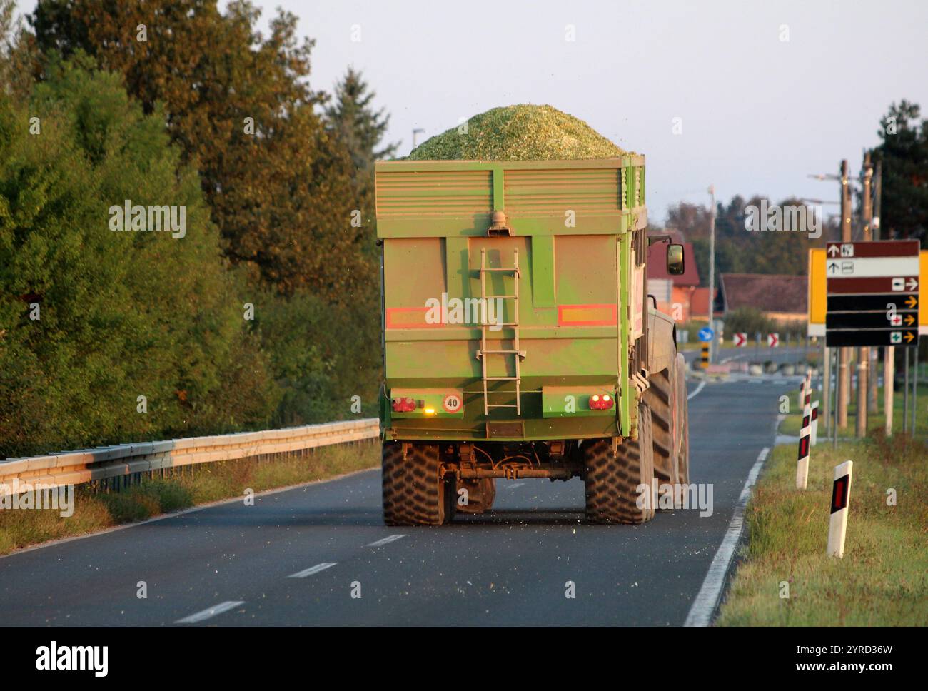 Large agriculture tractor with green trailer full of chopped corn ...