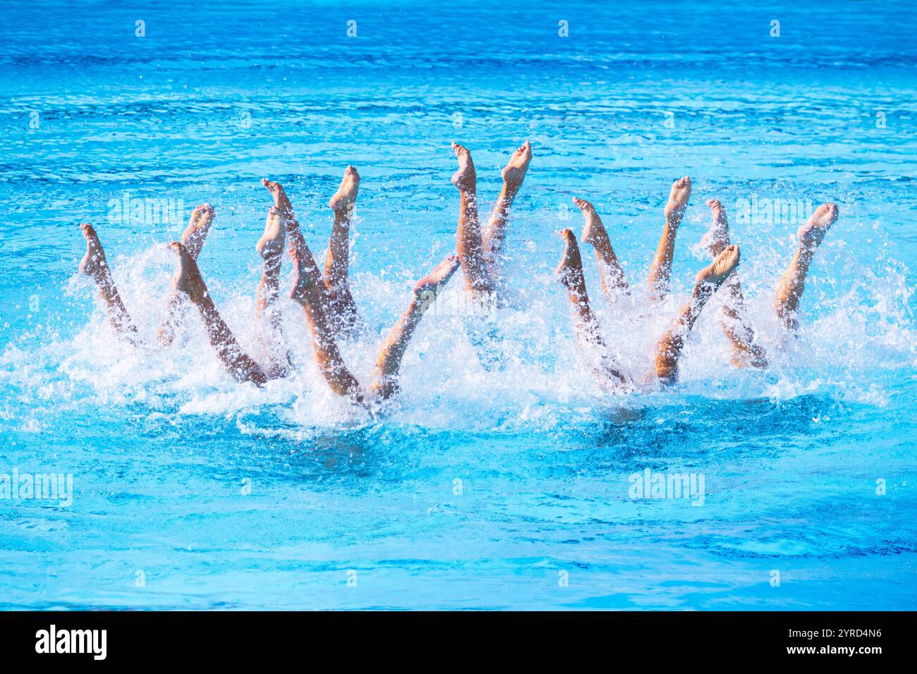 Synchronized swimmers team performing artistic swimming in the swimming ...