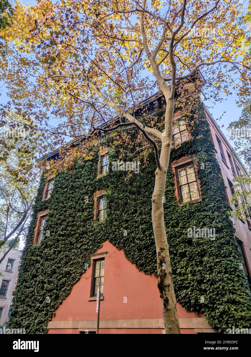 Building covered in creepers new york Stock Photo - Alamy