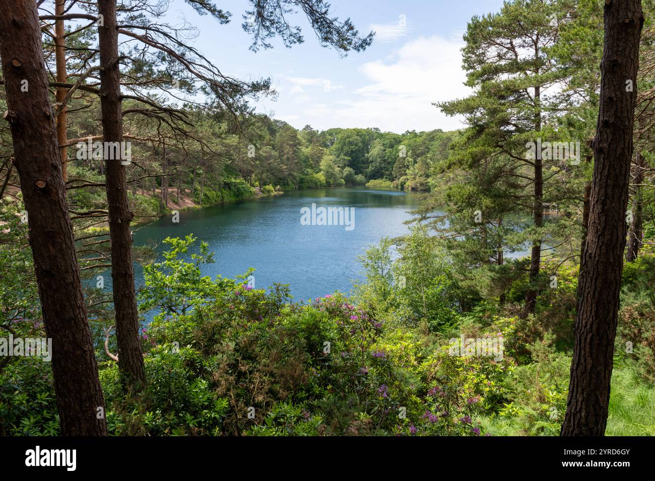 Photo of the Blue Pool in Dorset Stock Photo - Alamy