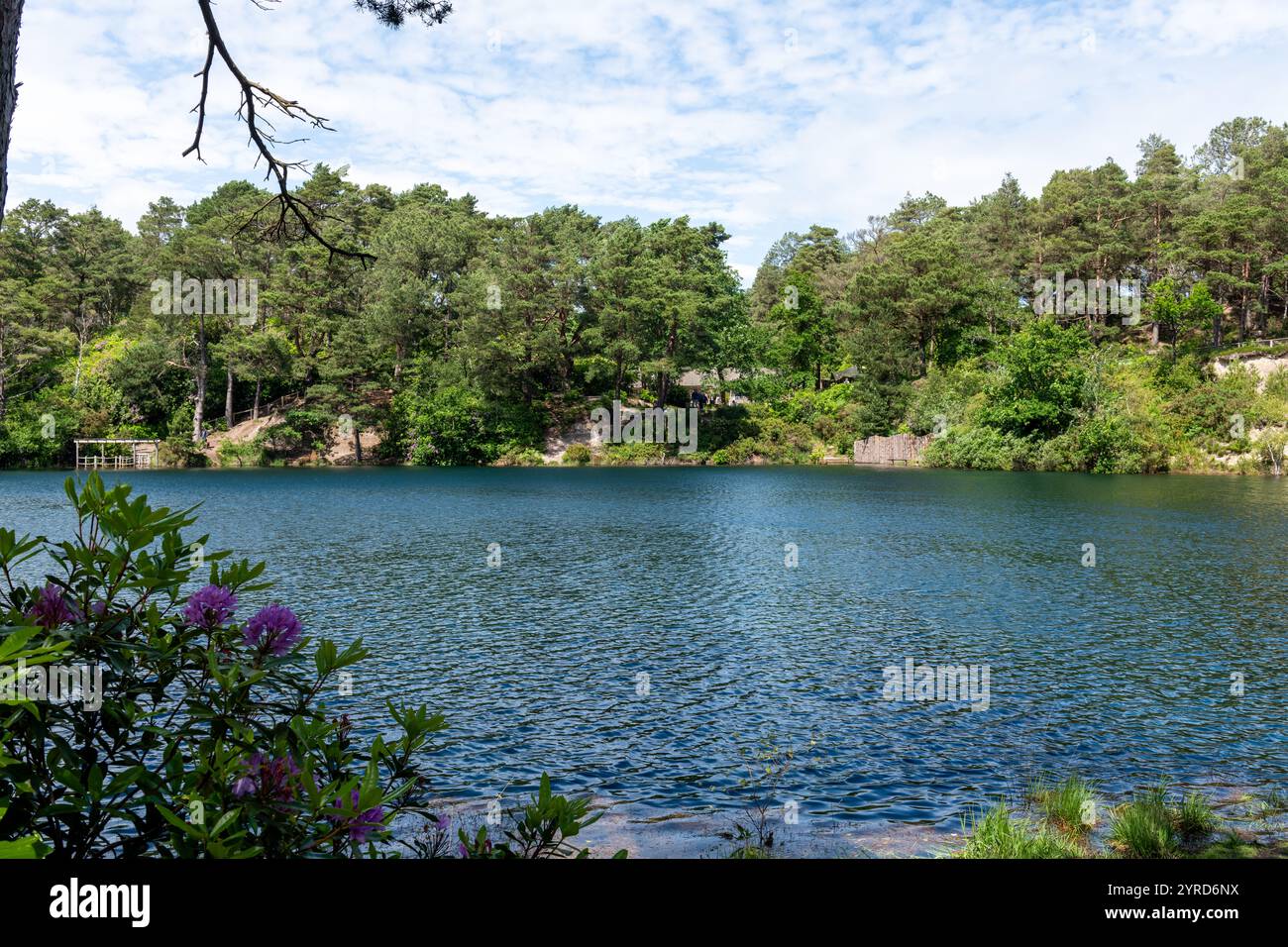 Photo of the Blue Pool in Dorset Stock Photo - Alamy