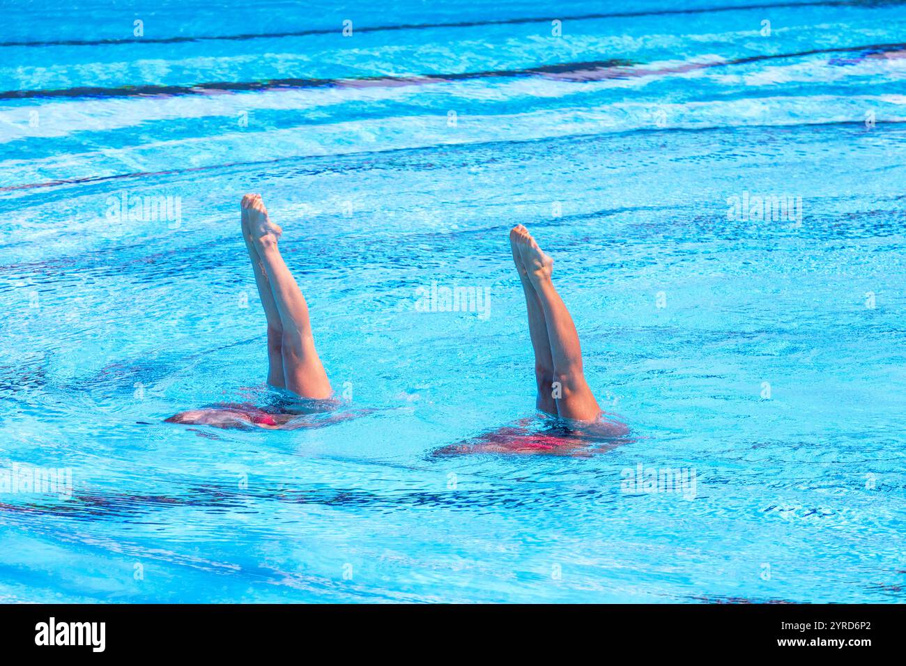 Artistic swimmers duet performing artistic swimming in the swimming ...