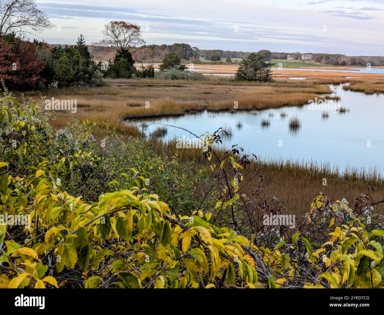 Cape cod scenery hi-res stock photography and images - Alamy