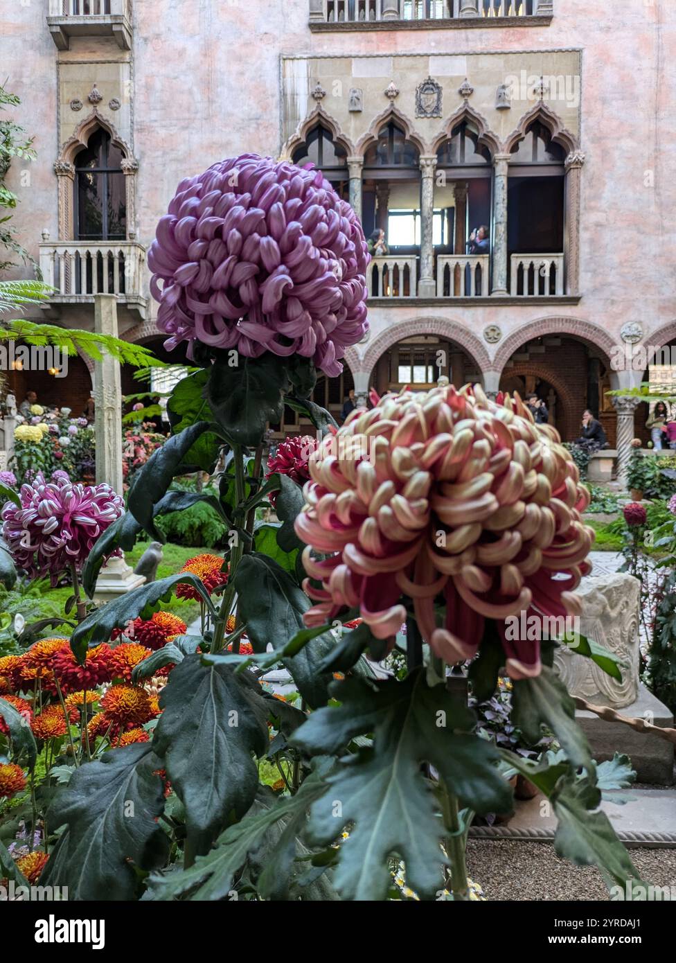 Plants and flowers at the Isabella Gardiner Museum in Boston Stock ...
