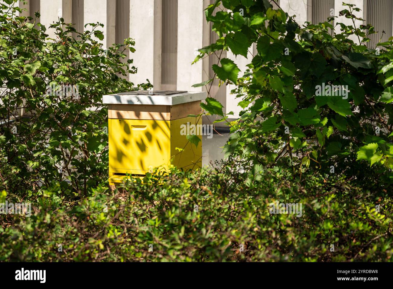 Building a beehive in garden hi-res stock photography and images - Alamy