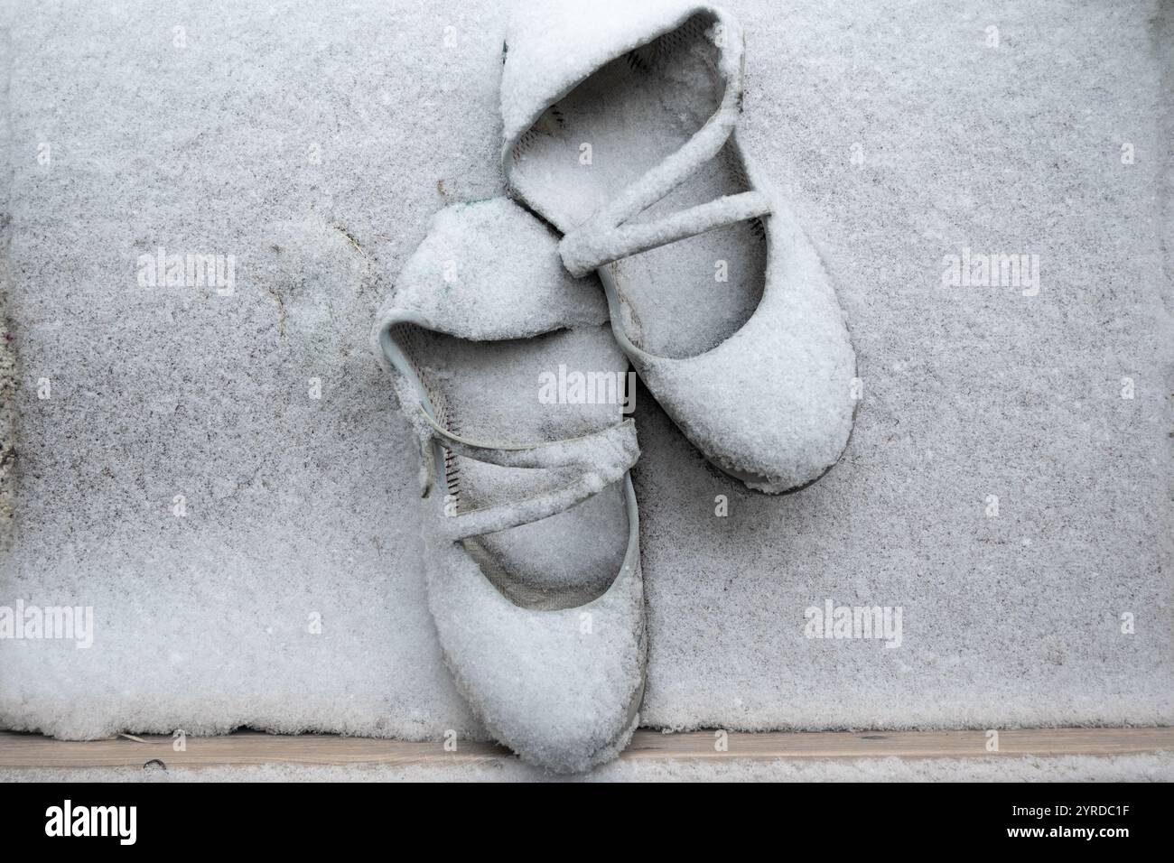 pair of slippers left outside in the garden covered in first winter ...