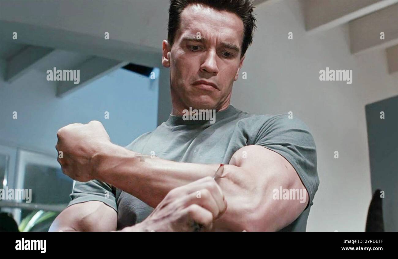 TERMINATOR 2: JUDGMENT DAY 1991 TriStar Pictures film with Arnold Schwarzenegger as the ...