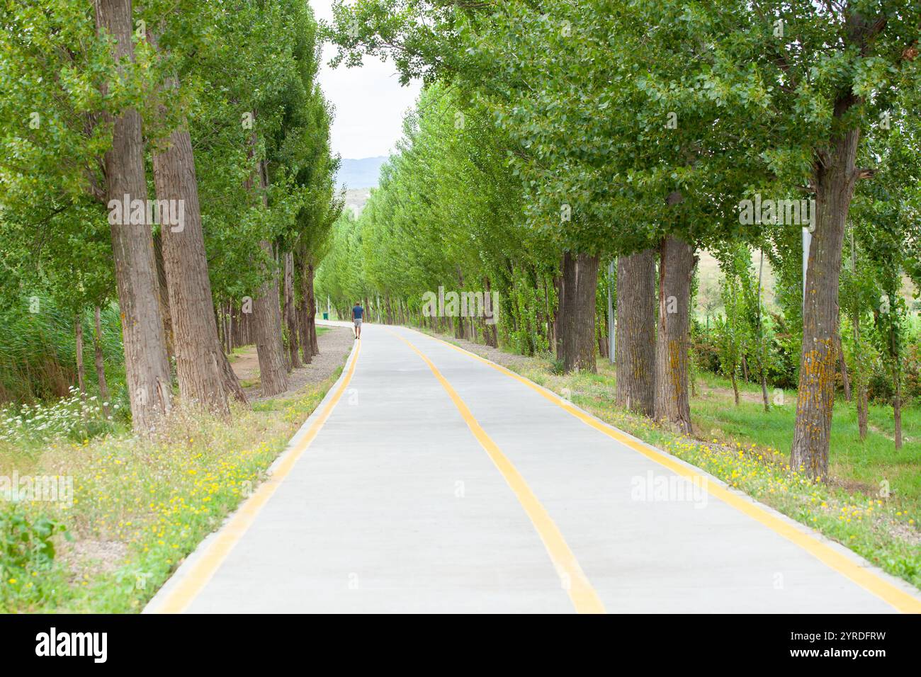 Bicycle and pedestrian path around Lake Lisi, Tbilisi Stock Photo - Alamy