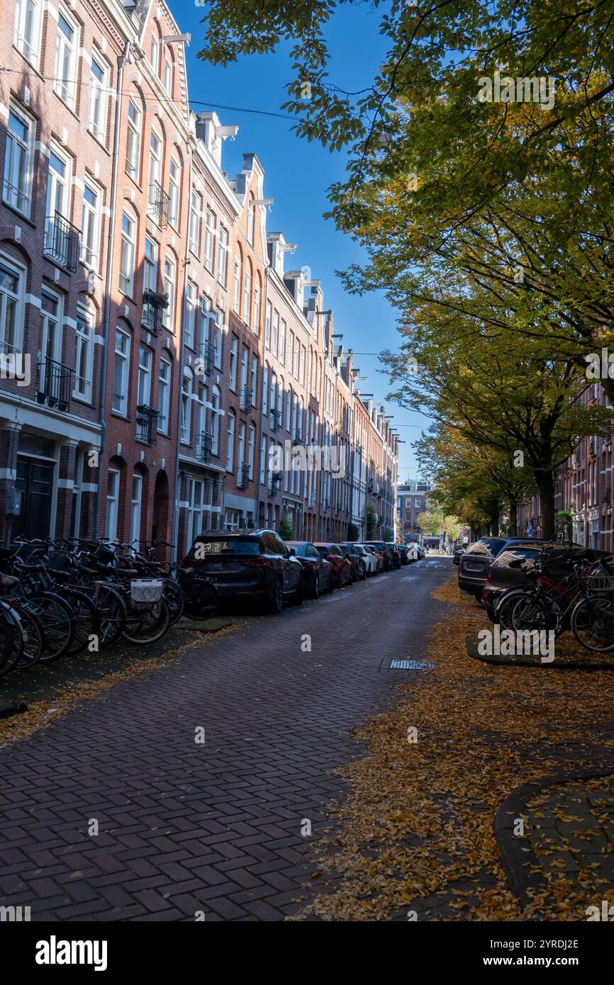 Daily life of Amsterdam, car street parking in Oud Zuid, North Holland ...