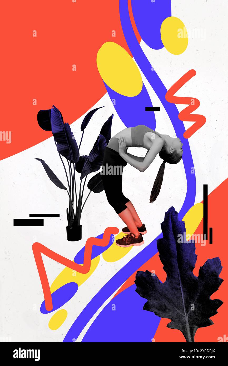 Vertical photo collage of serious girl pilates trainer do incline ...