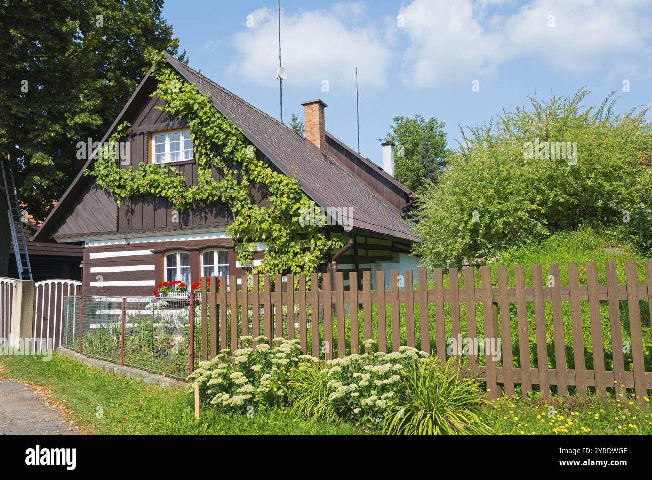 Pretty house with climbing plants on the walls and a well-tended ...