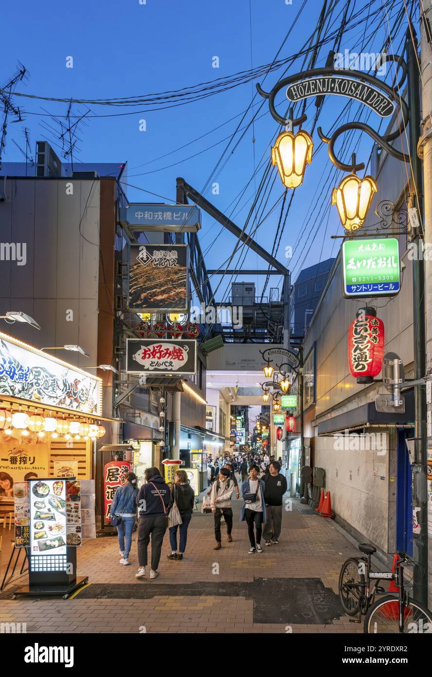 Hozenji-Koisan Dori street by night, Namba, Osaka, Japan, Asia Stock ...