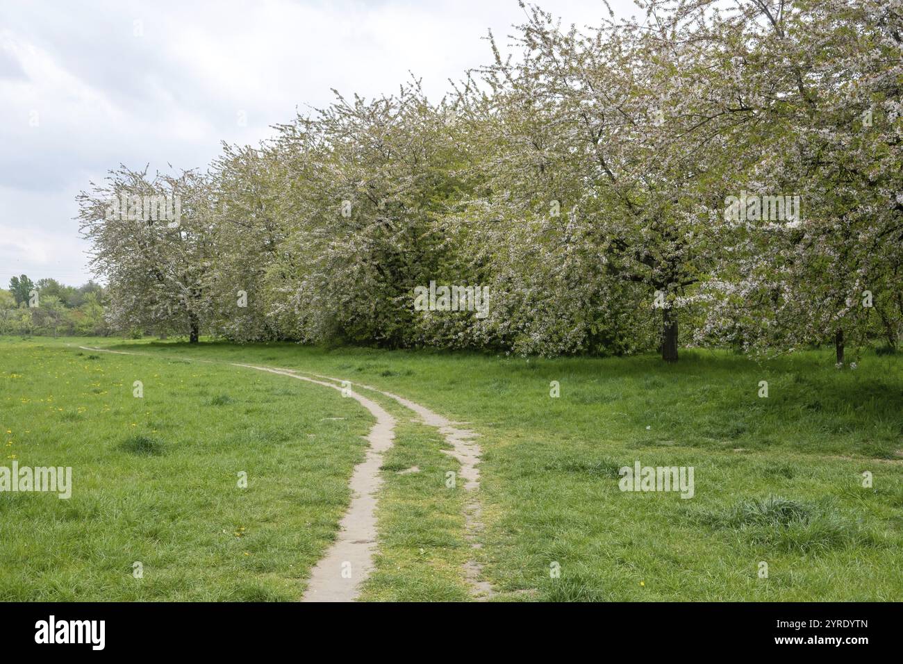 Beautiful shot dirt road hi-res stock photography and images - Alamy