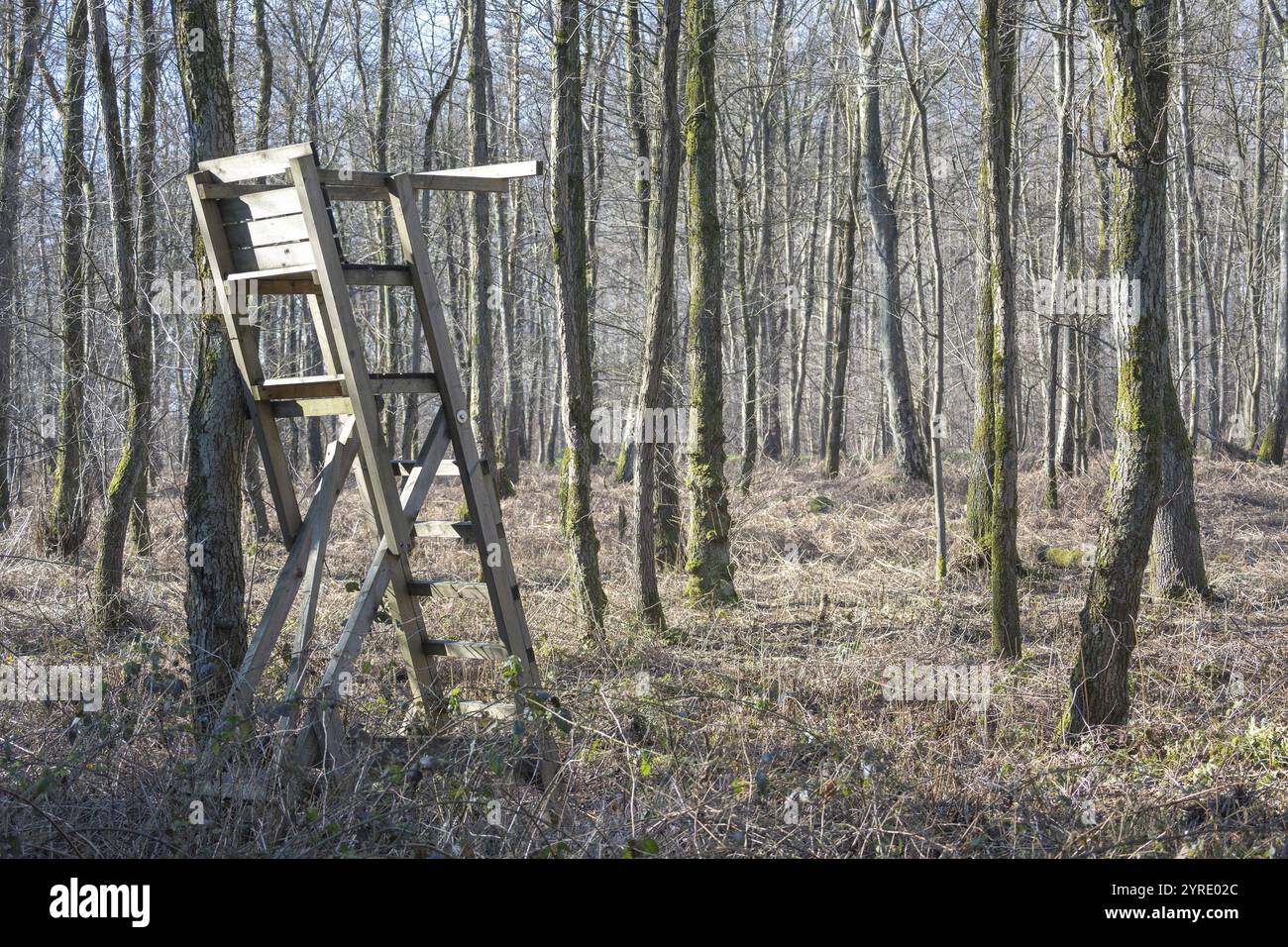 Raised hunting blind hi-res stock photography and images - Alamy