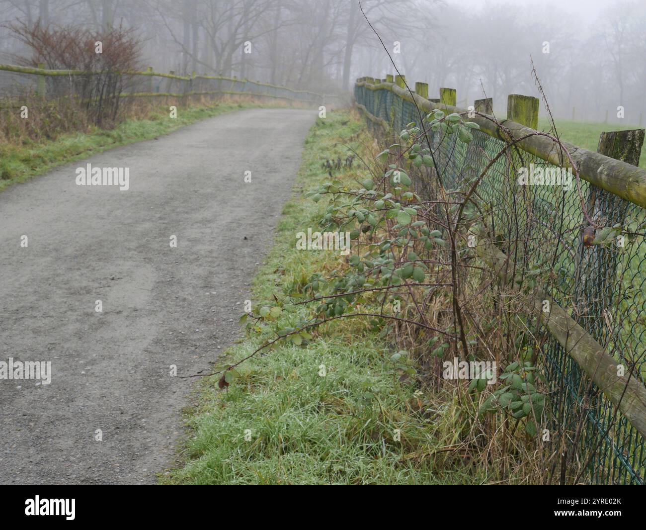 Country lane in a beautiful landscape Stock Photo - Alamy