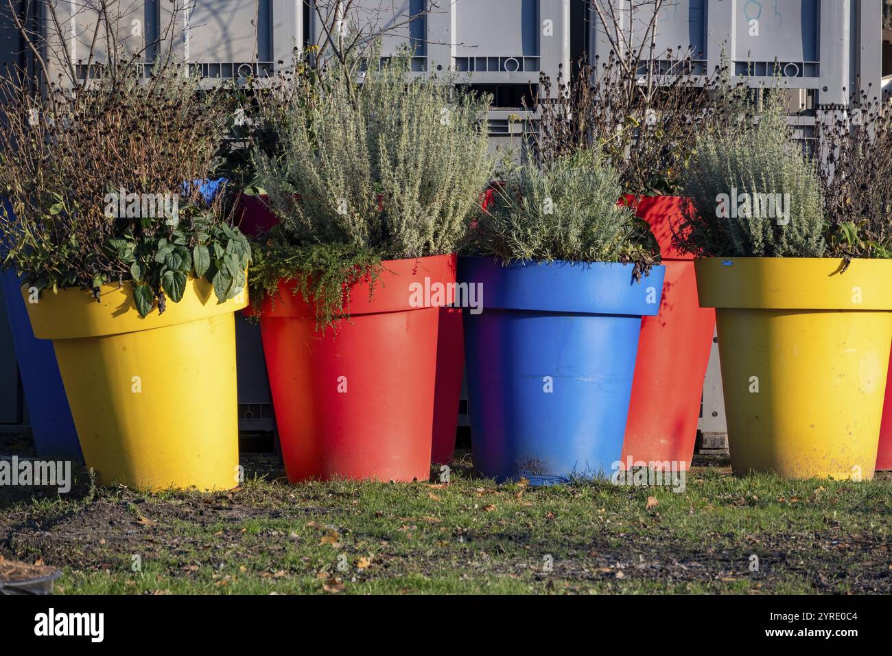 Different colored pots hi-res stock photography and images - Alamy