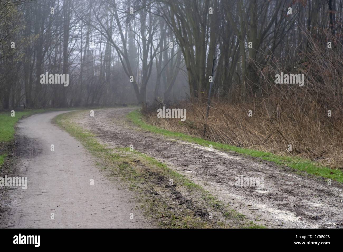 Country lane in a beautiful landscape Stock Photo - Alamy
