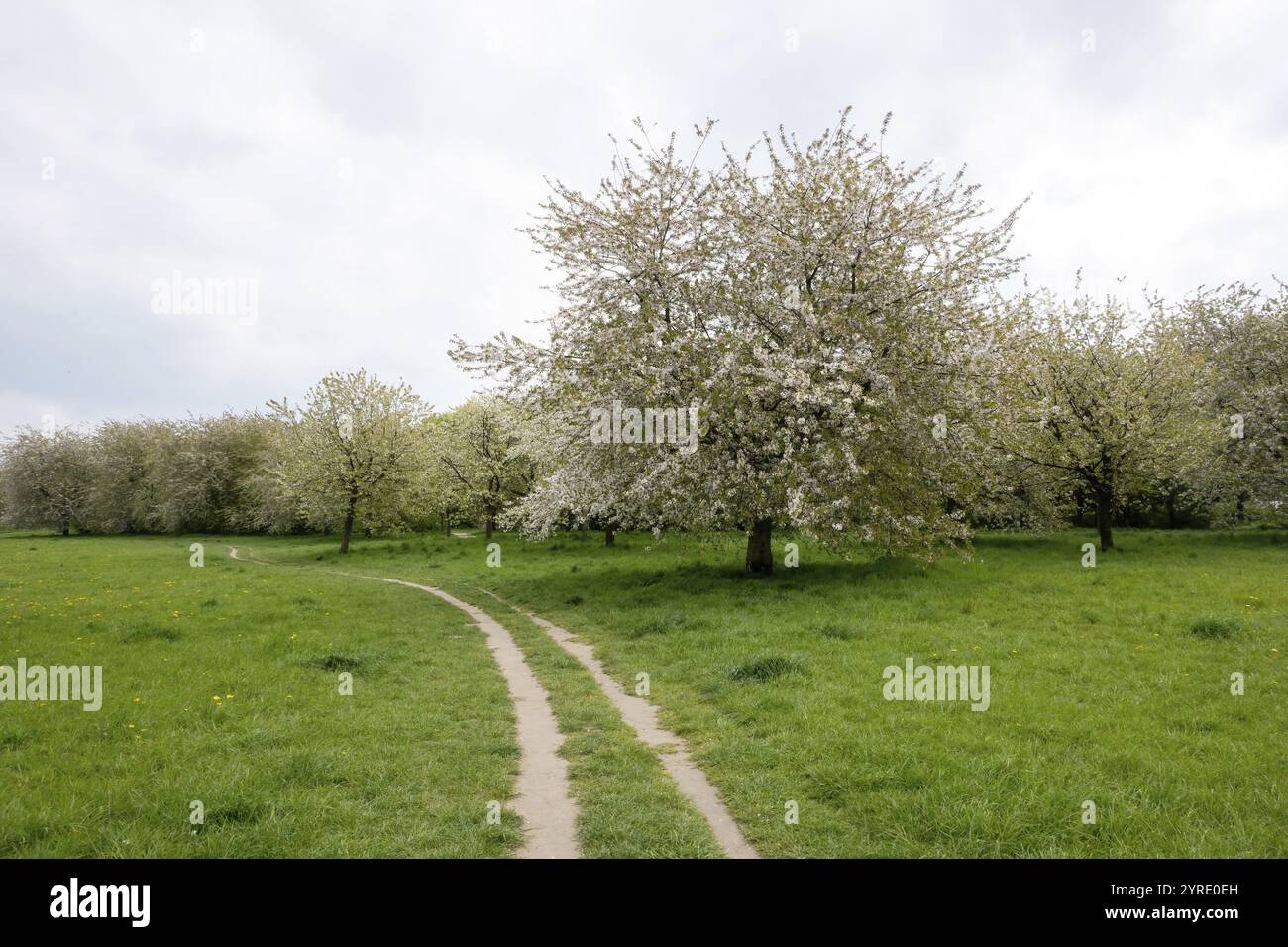 Nice country hi-res stock photography and images - Alamy