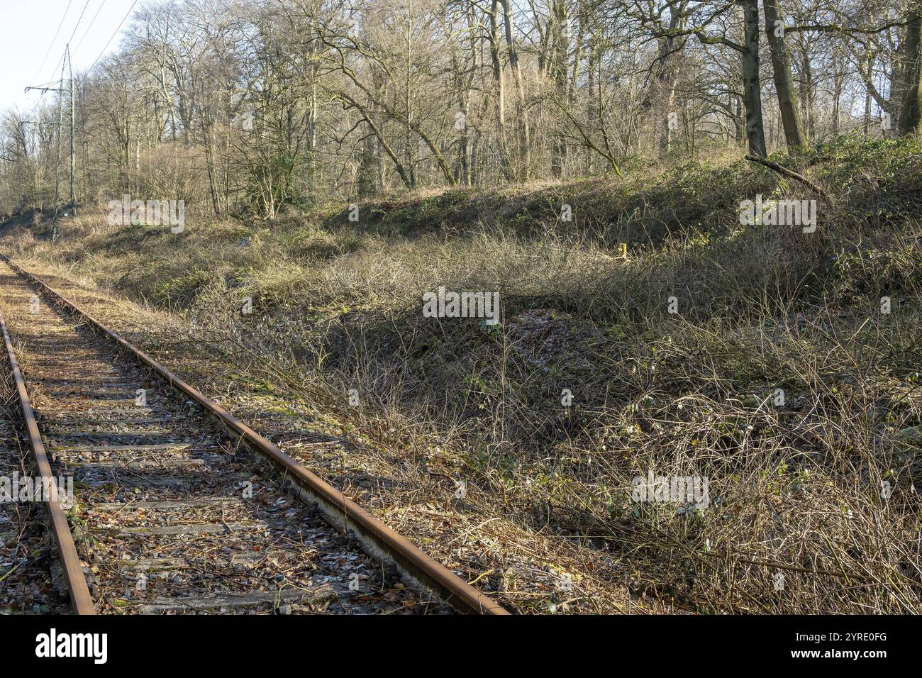 Railway tracks no people hi-res stock photography and images - Alamy