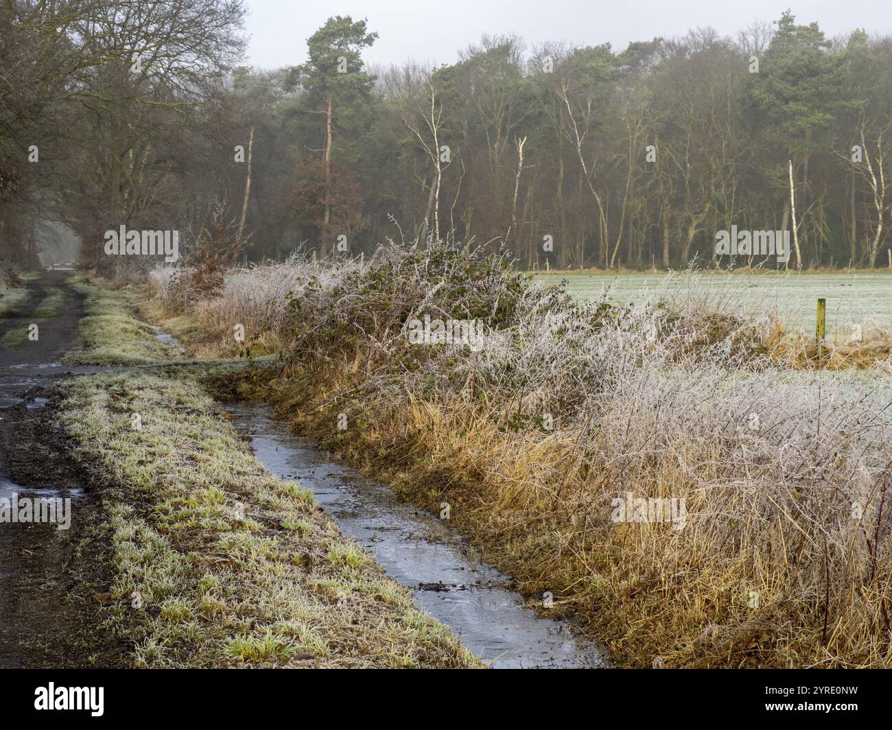 Early winter scenery hi-res stock photography and images - Alamy