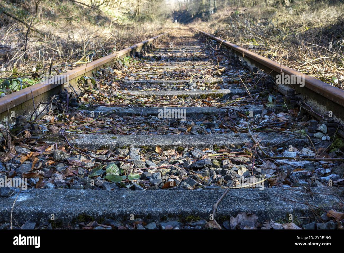 Rail railway railways railroad hi-res stock photography and images - Alamy