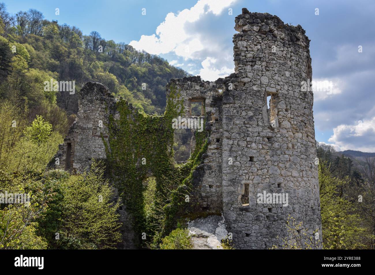 Ruins of the Old town Samobor, medieval fortress located above city of ...