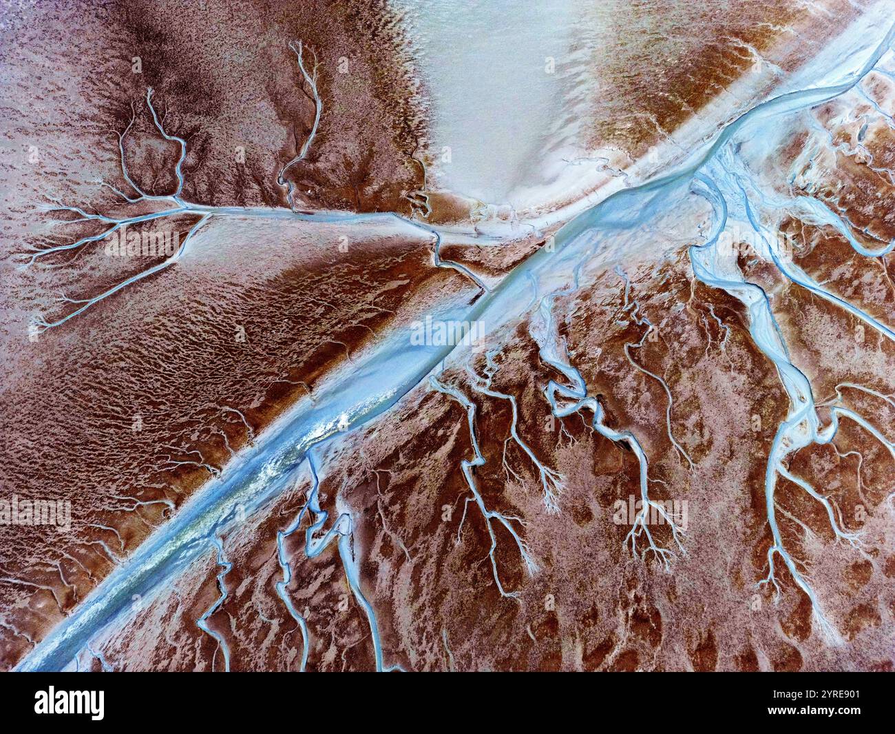 Aerial view of the tidal mudflats and channels of the Eemsdelta ...