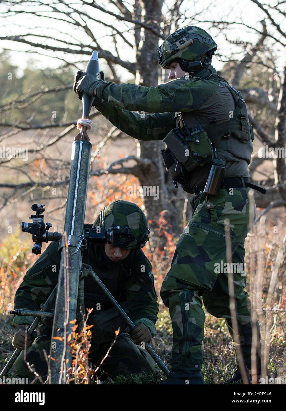 Swedish bilateral exercise hi-res stock photography and images - Alamy