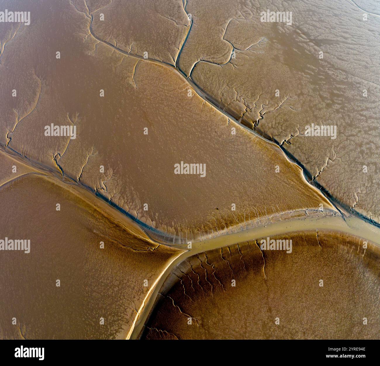 Aerial view of the tidal mudflats and channels of the Eemsdelta ...
