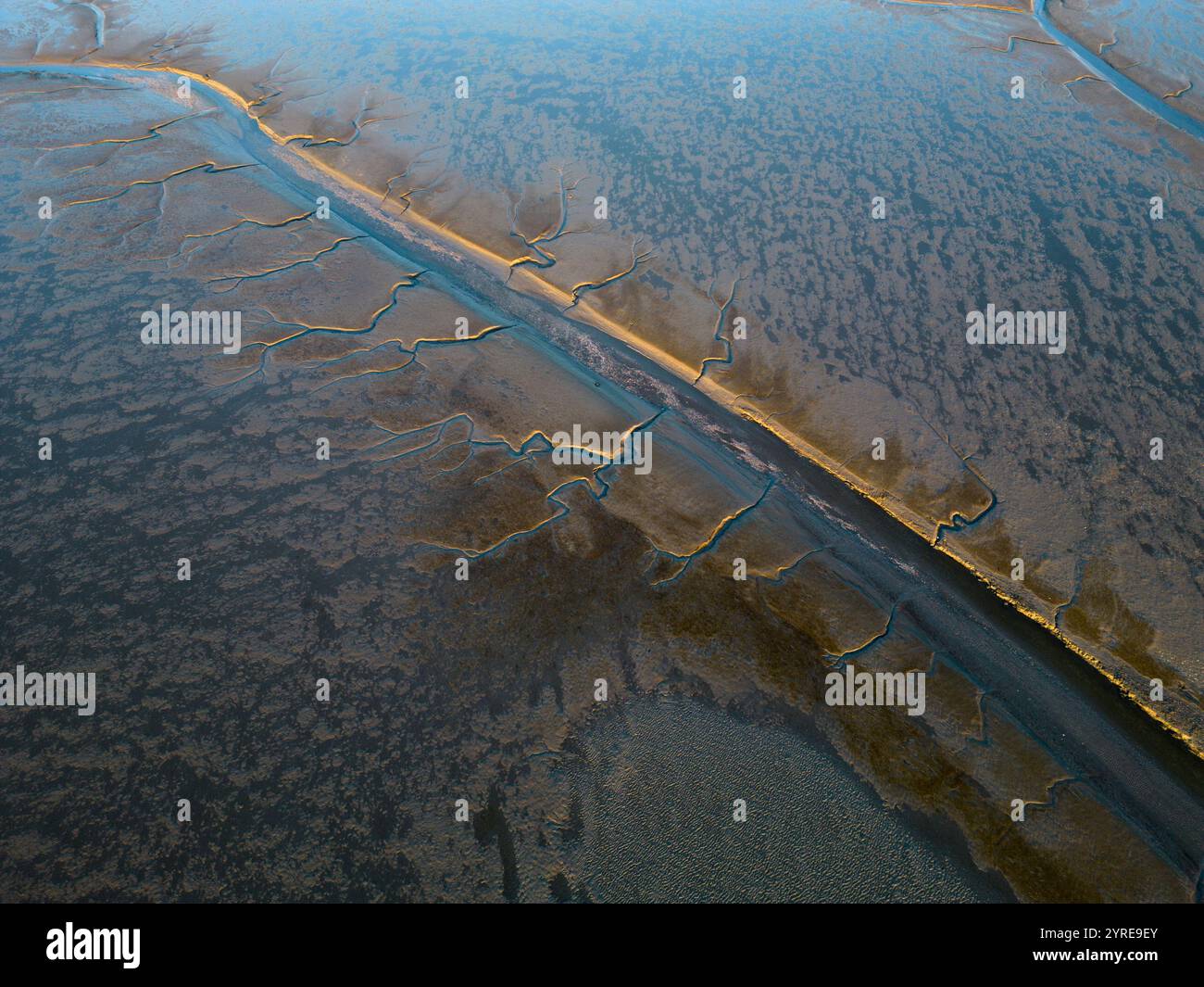 Aerial view of the tidal mudflats and channels of the Eemsdelta ...