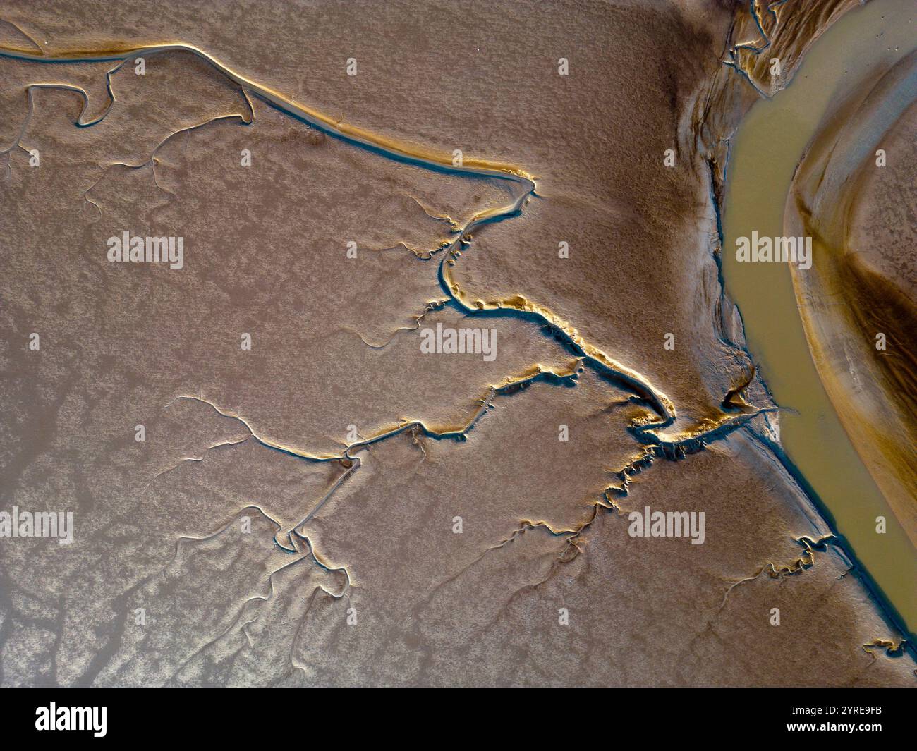 Aerial view of the tidal mudflats and channels of the Eemsdelta ...