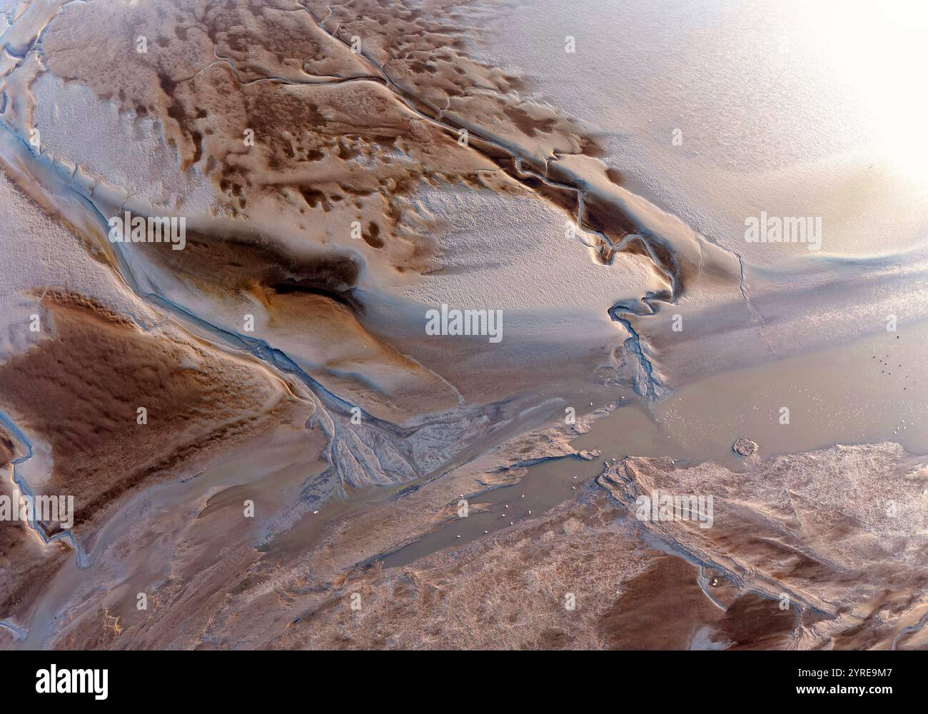 Aerial view of the tidal mudflats and channels of the Eemsdelta ...