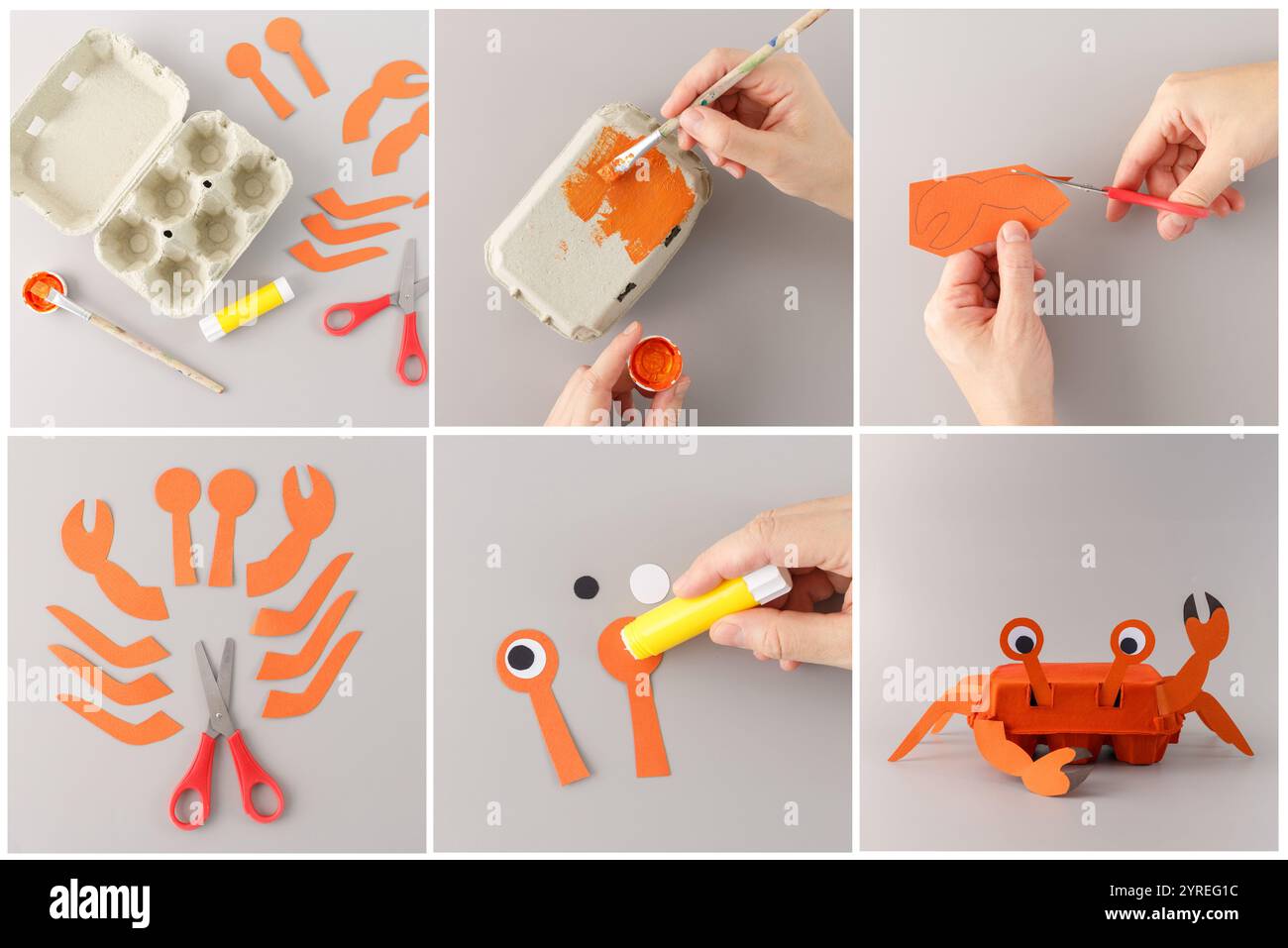 DIY crafting project, transforming the egg carton and paper cutouts ...